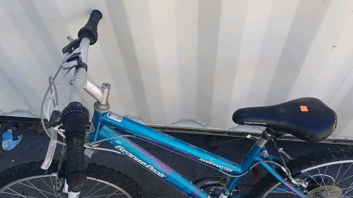24 Roadmaster Blue bike