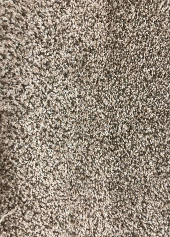 12’ Foot Long Carpet