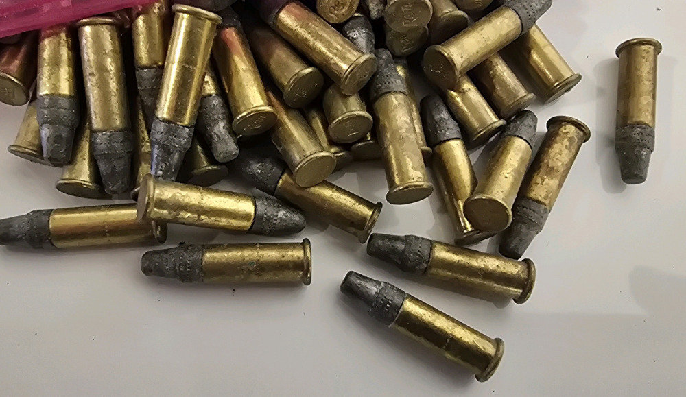 Bag Of () .22LR Ammo, (10) .40S&W Rounds