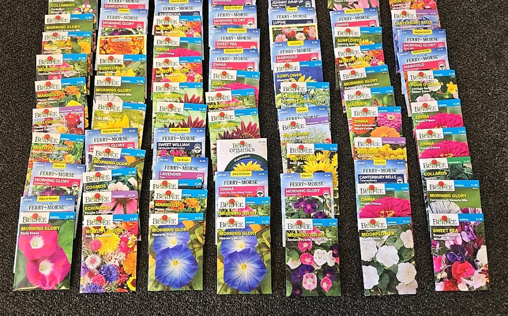 (100) Various Flower Seeds